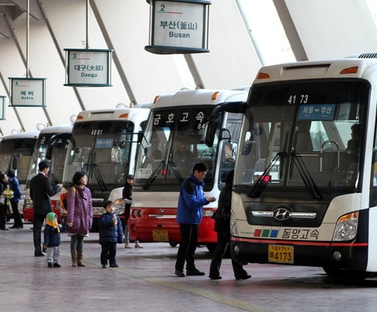 Types of Buses in Korea - Exploring Korea